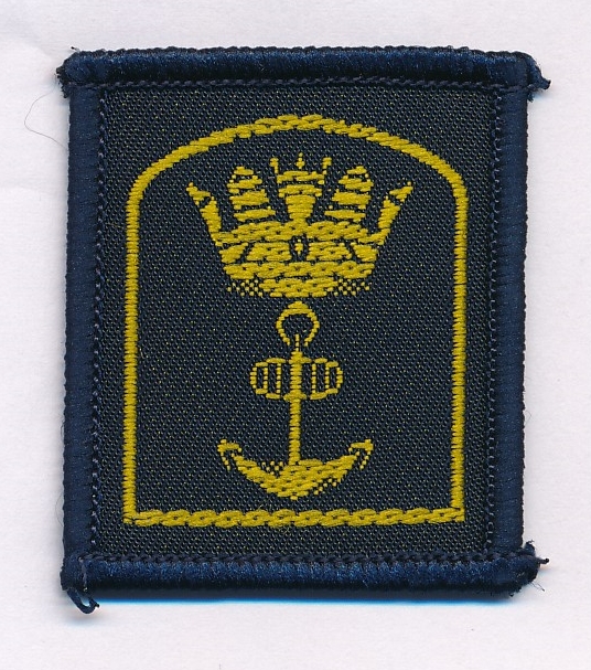 R.N. Recognition badge Volunteer Leaders