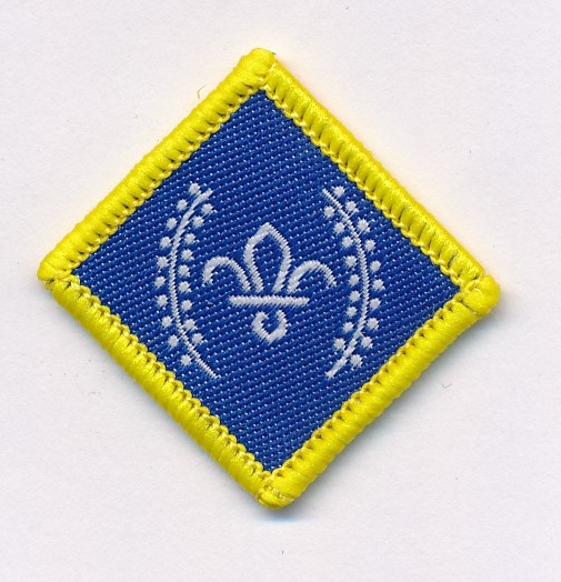 Chief Scouts Platinum Award Badge Volunteer Leaders