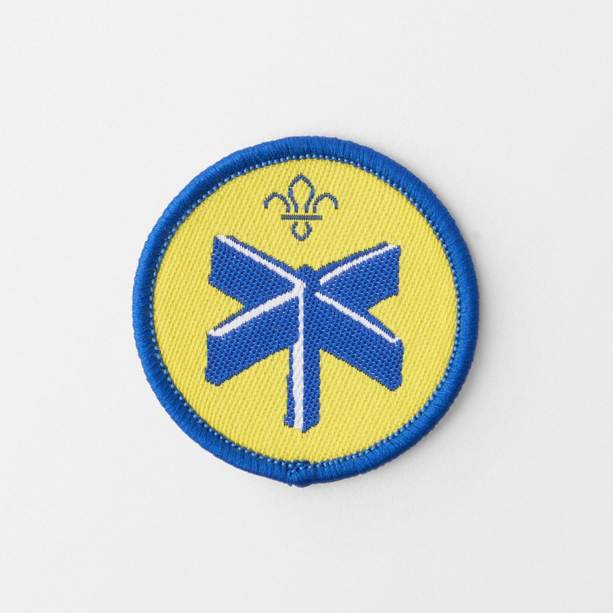 Beaver Scout Explore Badge