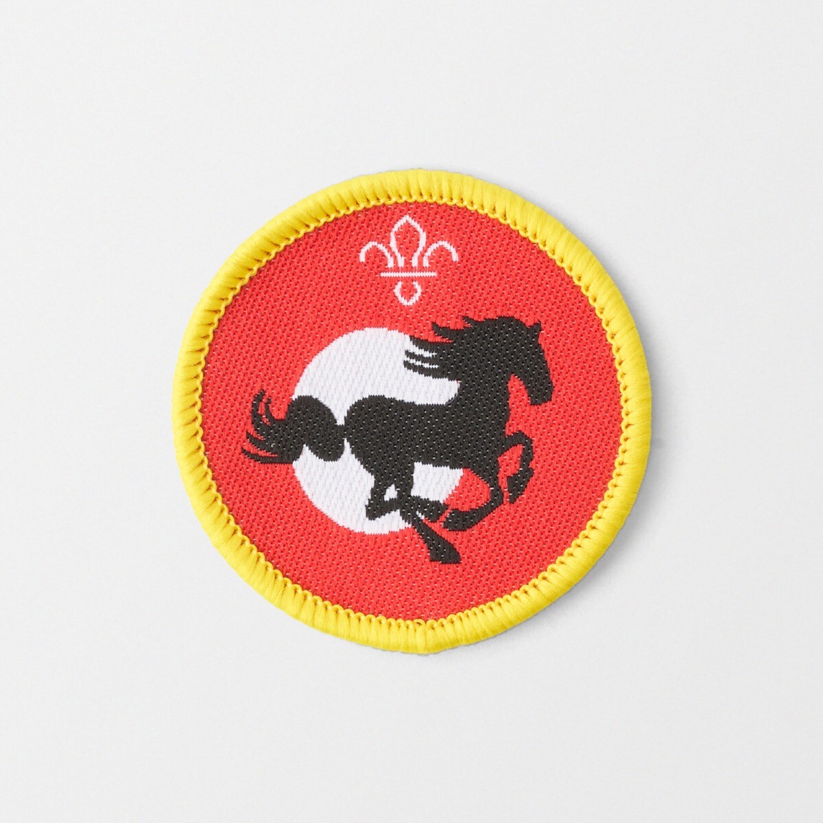 Cub Scout Equestrian Badge
