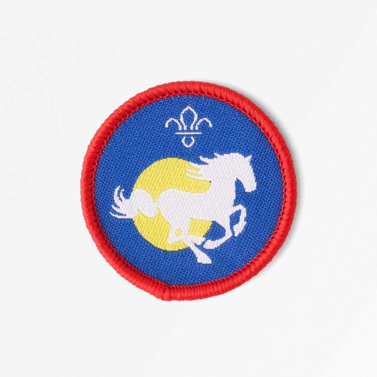Scouts Equestrian Activity Badge