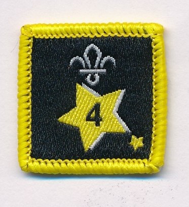 Joining in Award Badge 4 | Scouts Volunteer Leaders