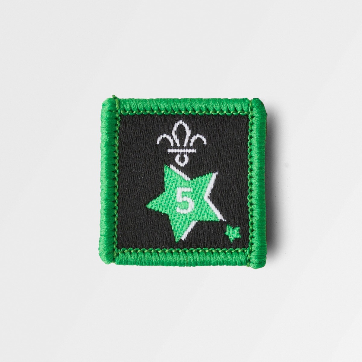 Joining in Award Badge 5 | Scouts