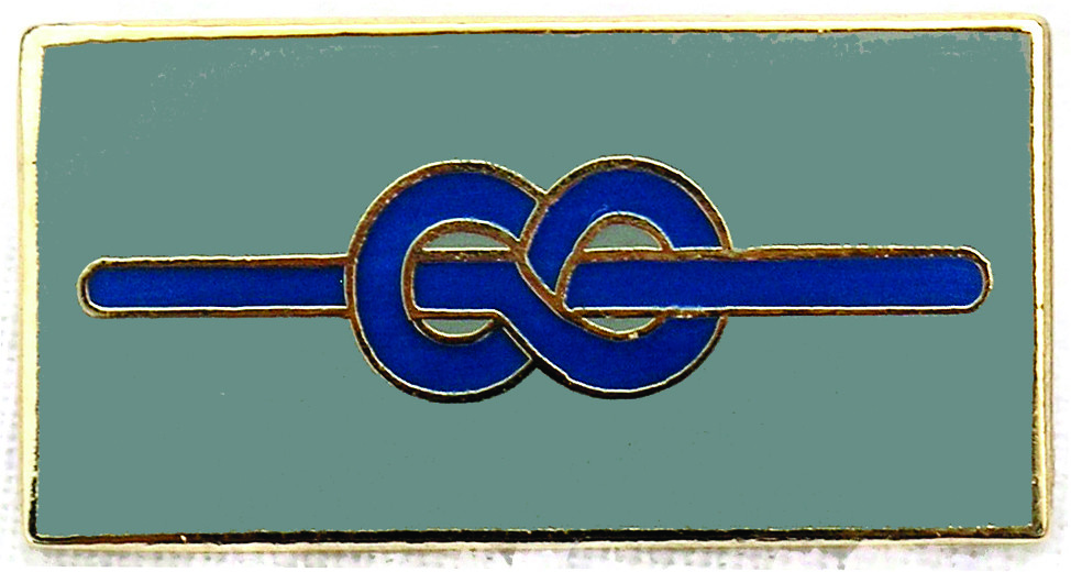 Silver Cross Pin Badge Volunteer Leaders