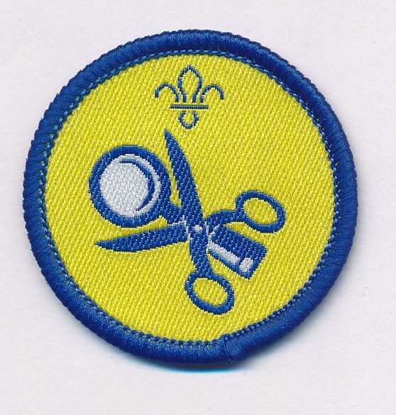 Beaver Scouts Scouts Collector Activity Badge Volunteer Leaders