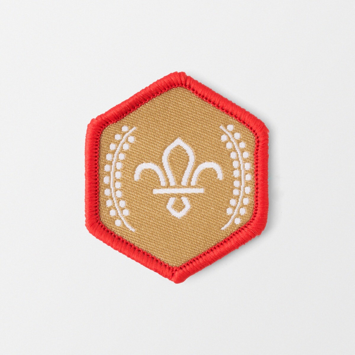 Chief Scouts's Gold Award Badge