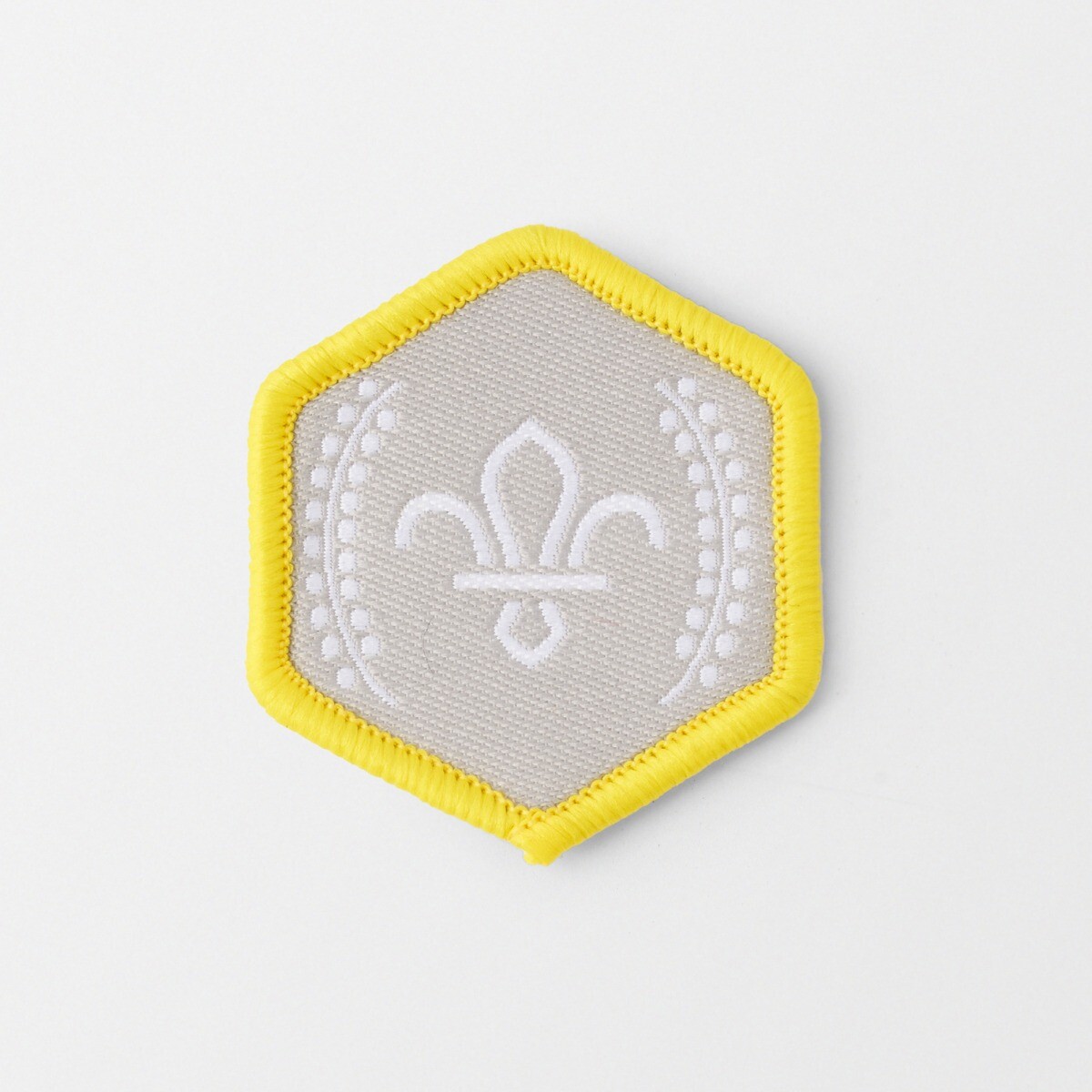 Cub Scouts Chief Scouts's Silver Award Badge