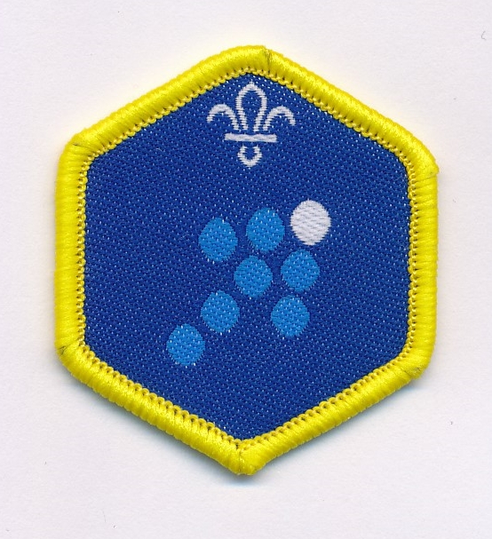 Cub Scout Team Leader Challenge Award Badge