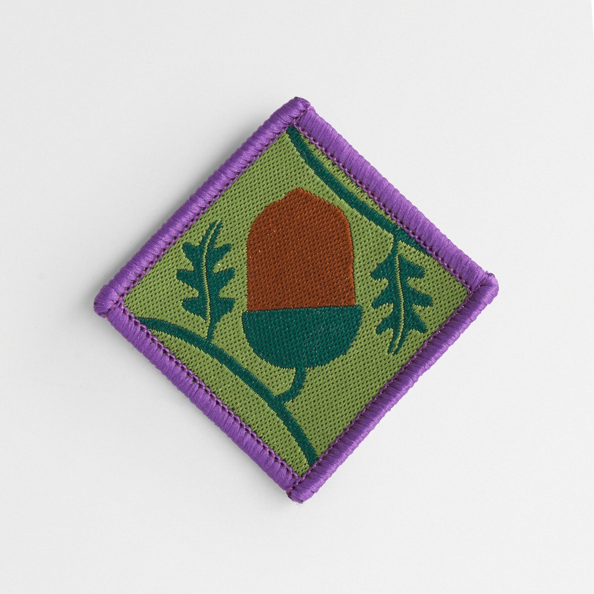 Young Leaders Scheme Module A Badge