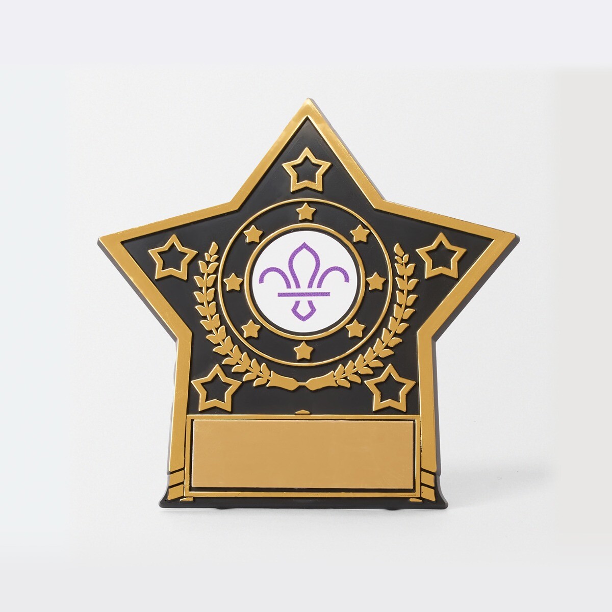 Star Scouts Logo Service Star 9 Years | Boy Scouts Of America