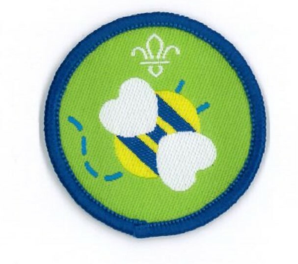 Squirrel Scout Go Wild Activity Badge Volunteer Leaders