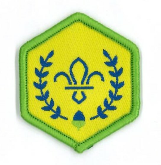 Squirrel Scout Acorn Award Challenge Badge Volunteer Leaders