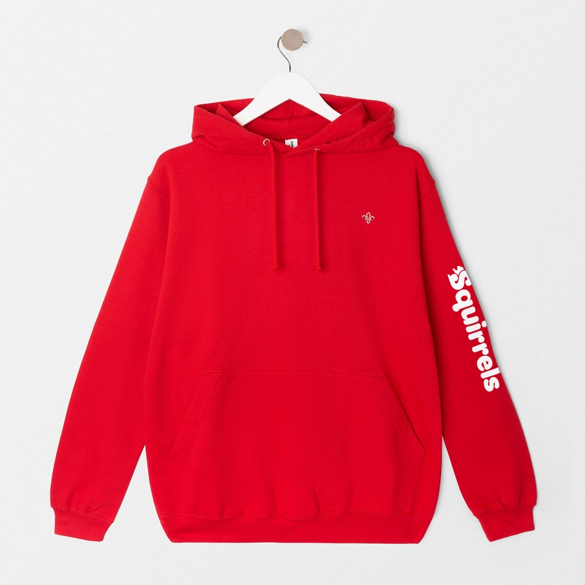 squirrels basingstoke