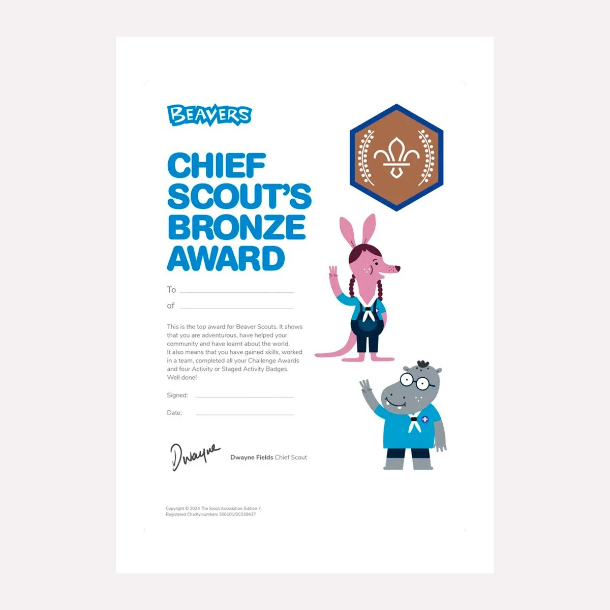 Chief Scout's Bronze Award Certificate - Pk of 10 | Beaver Scouts
