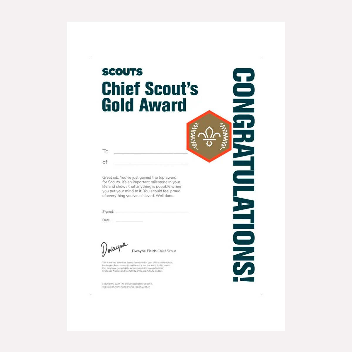 Chief Scout's Gold Award Certificate - Pack of 10