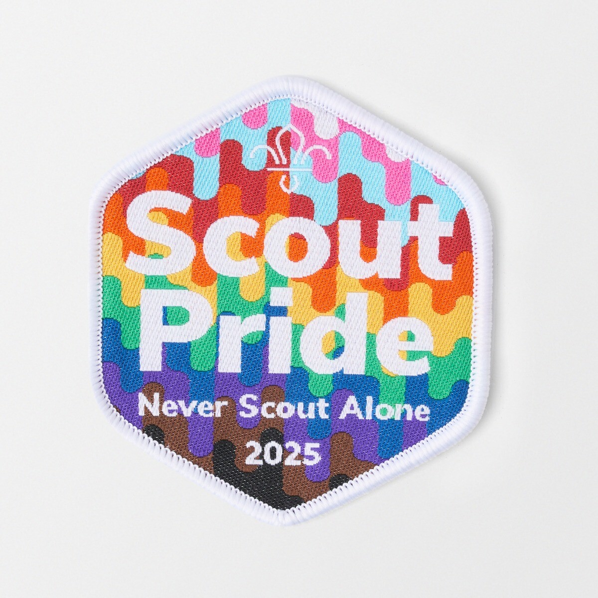 scout pride flag