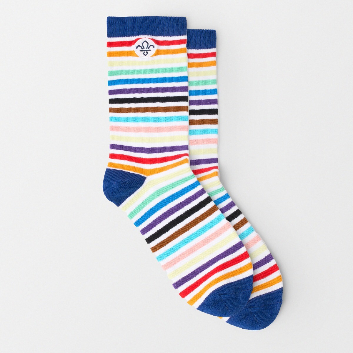 Scout Pride Progressive Flag Socks | Pride Socks