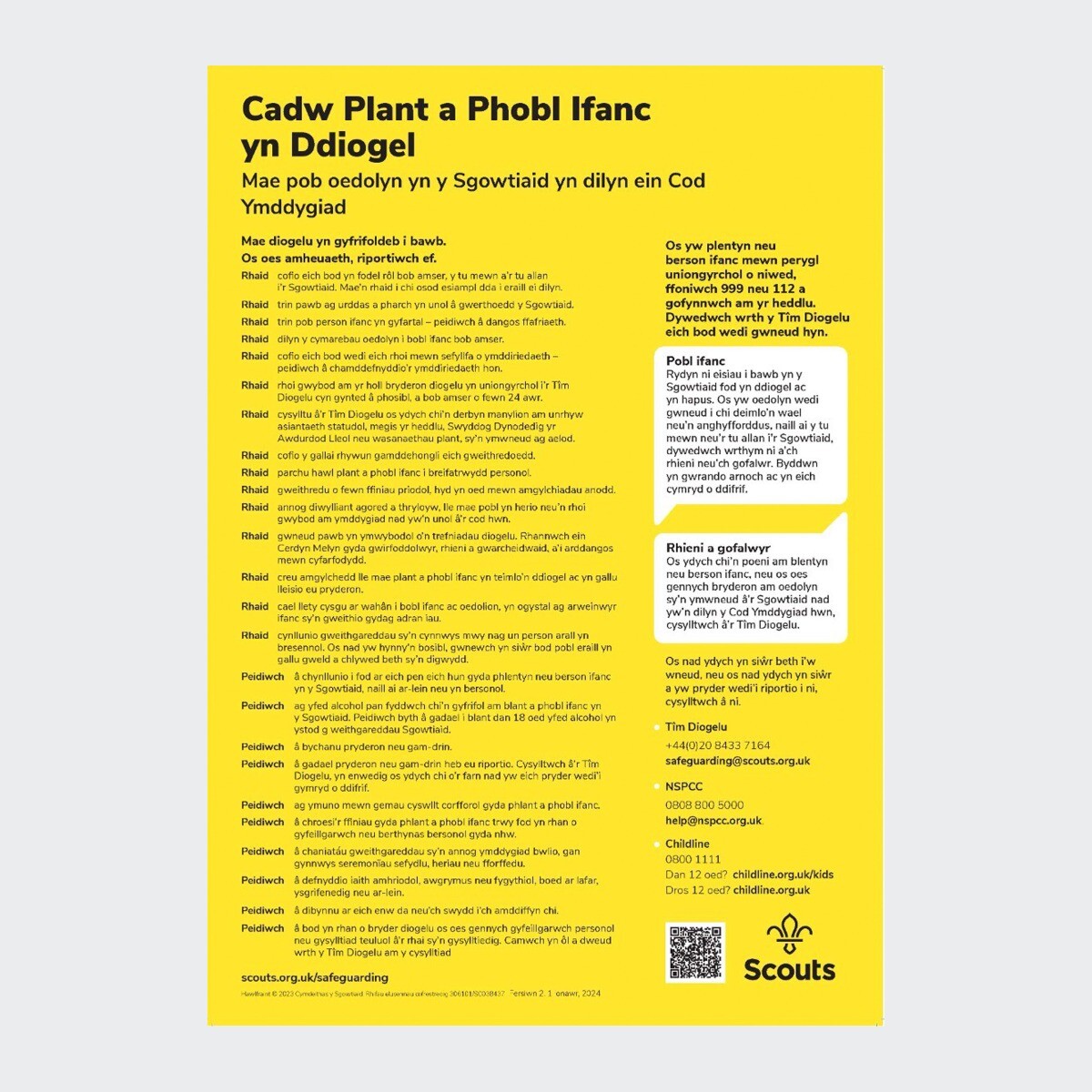 Scouts Yellow Card Poster - Welsh version | Scout Store