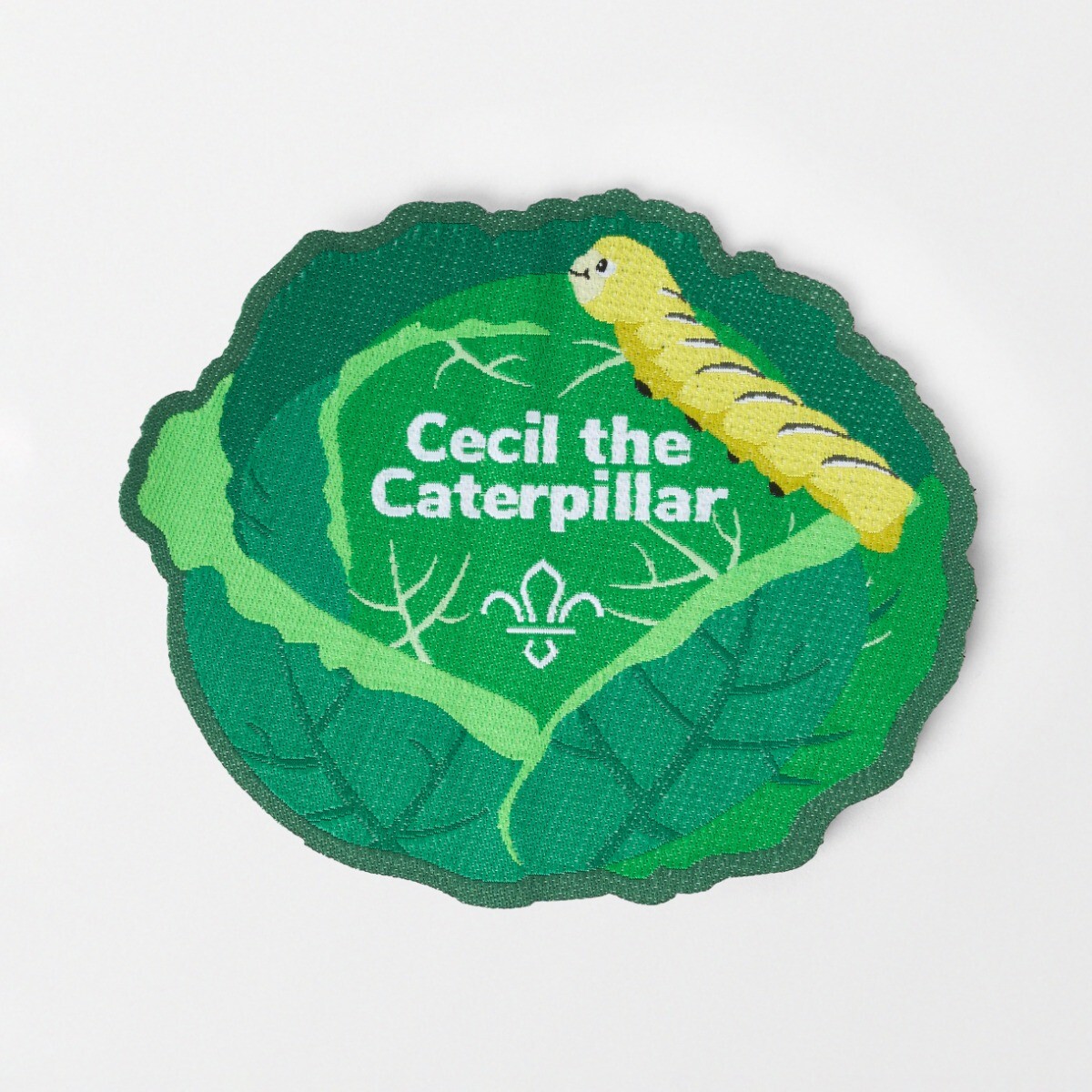 Cecil the Caterpillar Campfire Song Blanket Badge | Scouts Badges ...