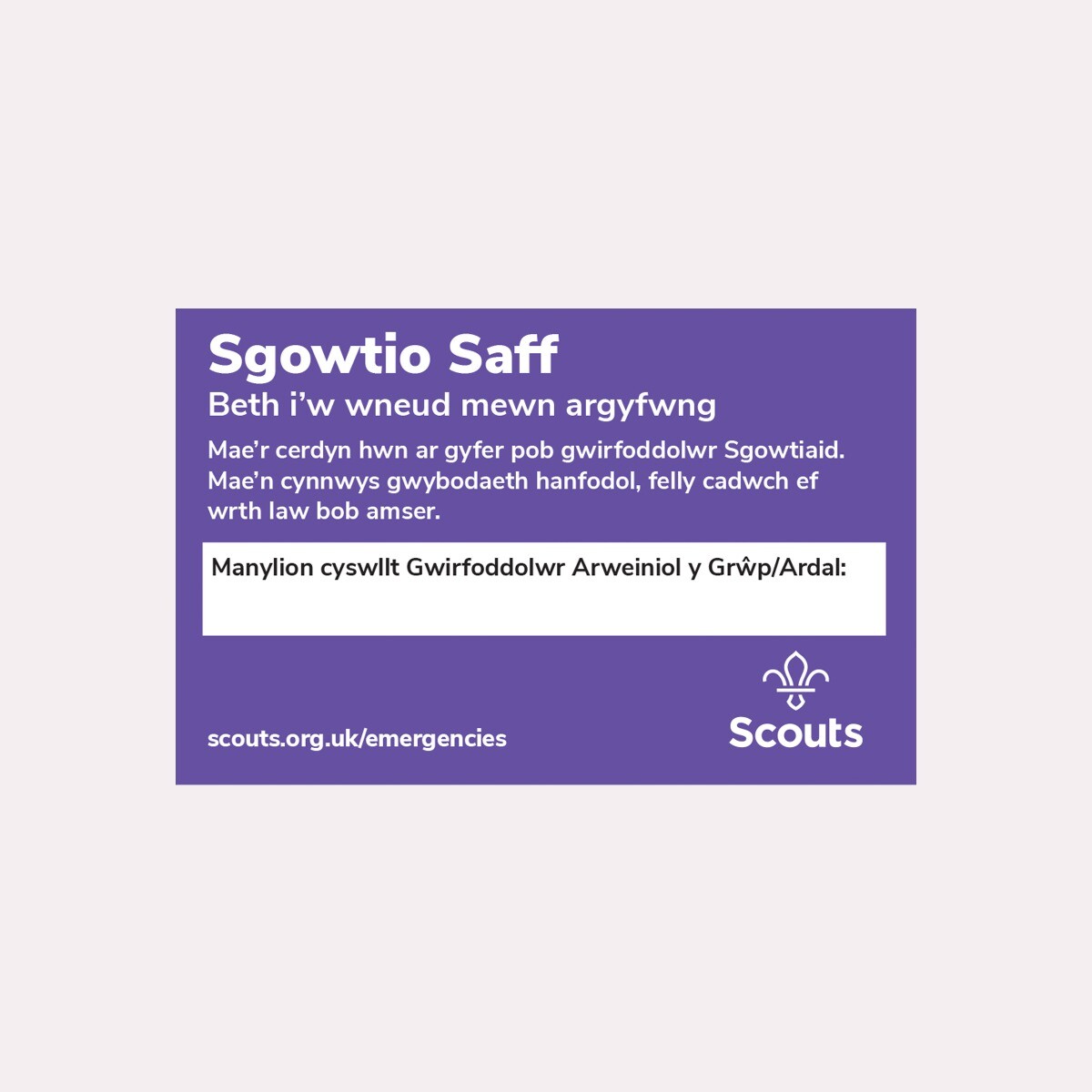 Scouts Purple Card - Safe Scouting - Welsh Version | Scout Store