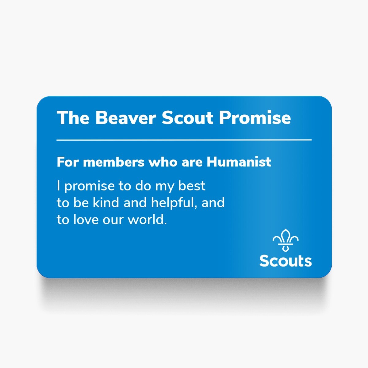Beaver Scouts Promise Card - Humanist Mid-Season Sale