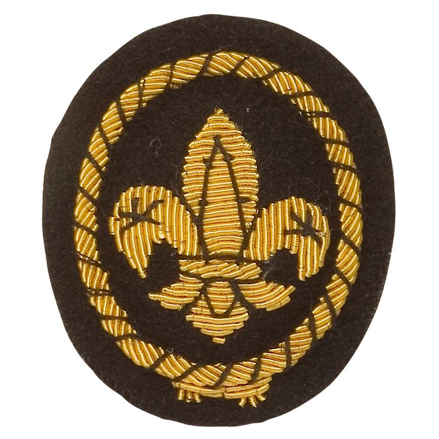 Sea Scout Gold Wire badge Volunteer Leaders