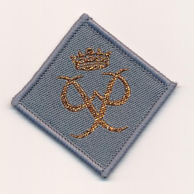 D. of E. Award Bronze Volunteer Leaders