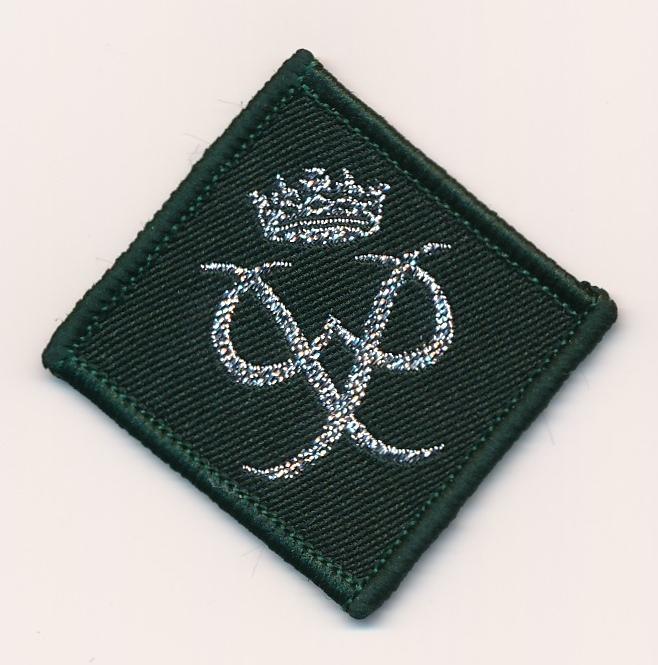 D. of E. Award Silver Volunteer Leaders