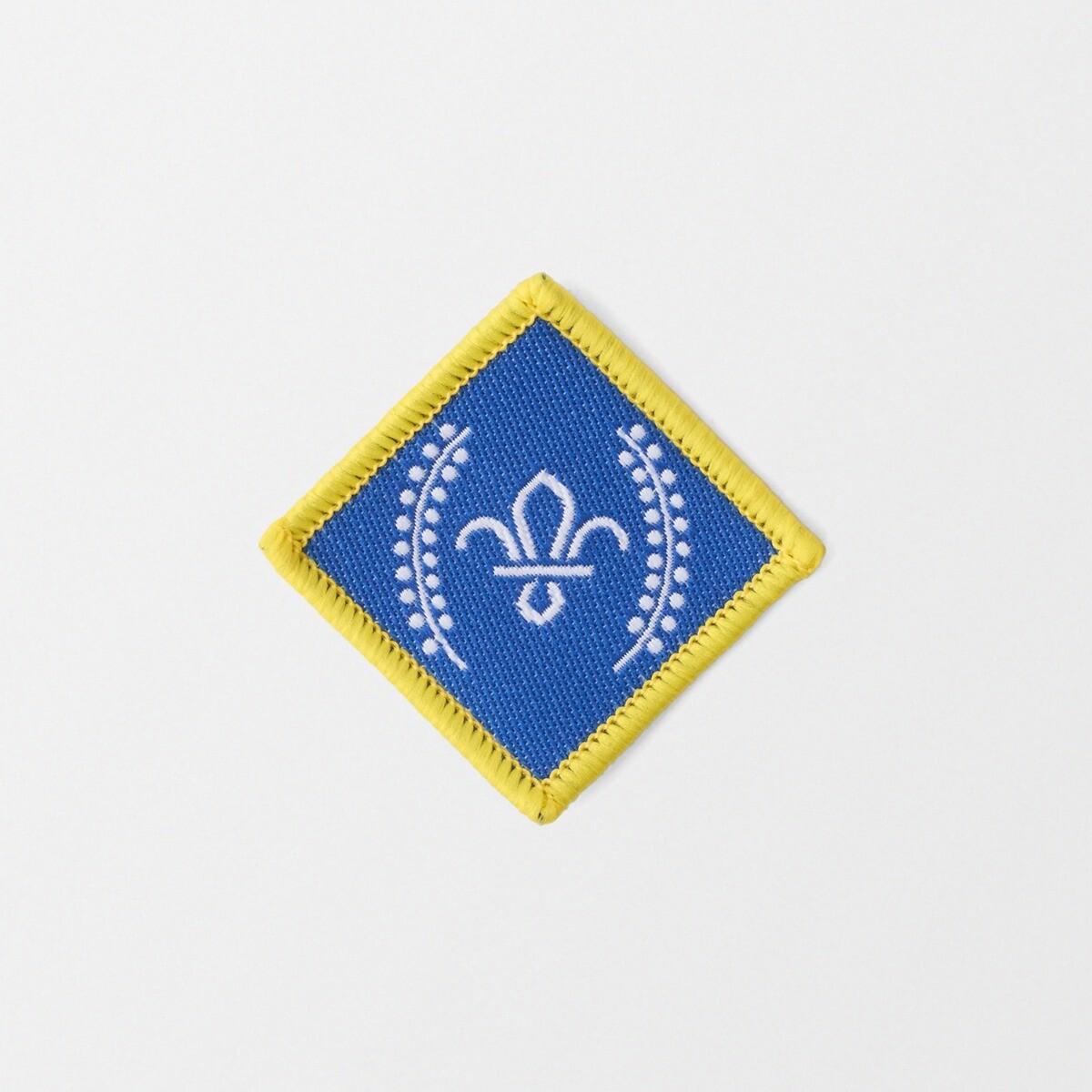 Chief Scouts Platinum Award Badge