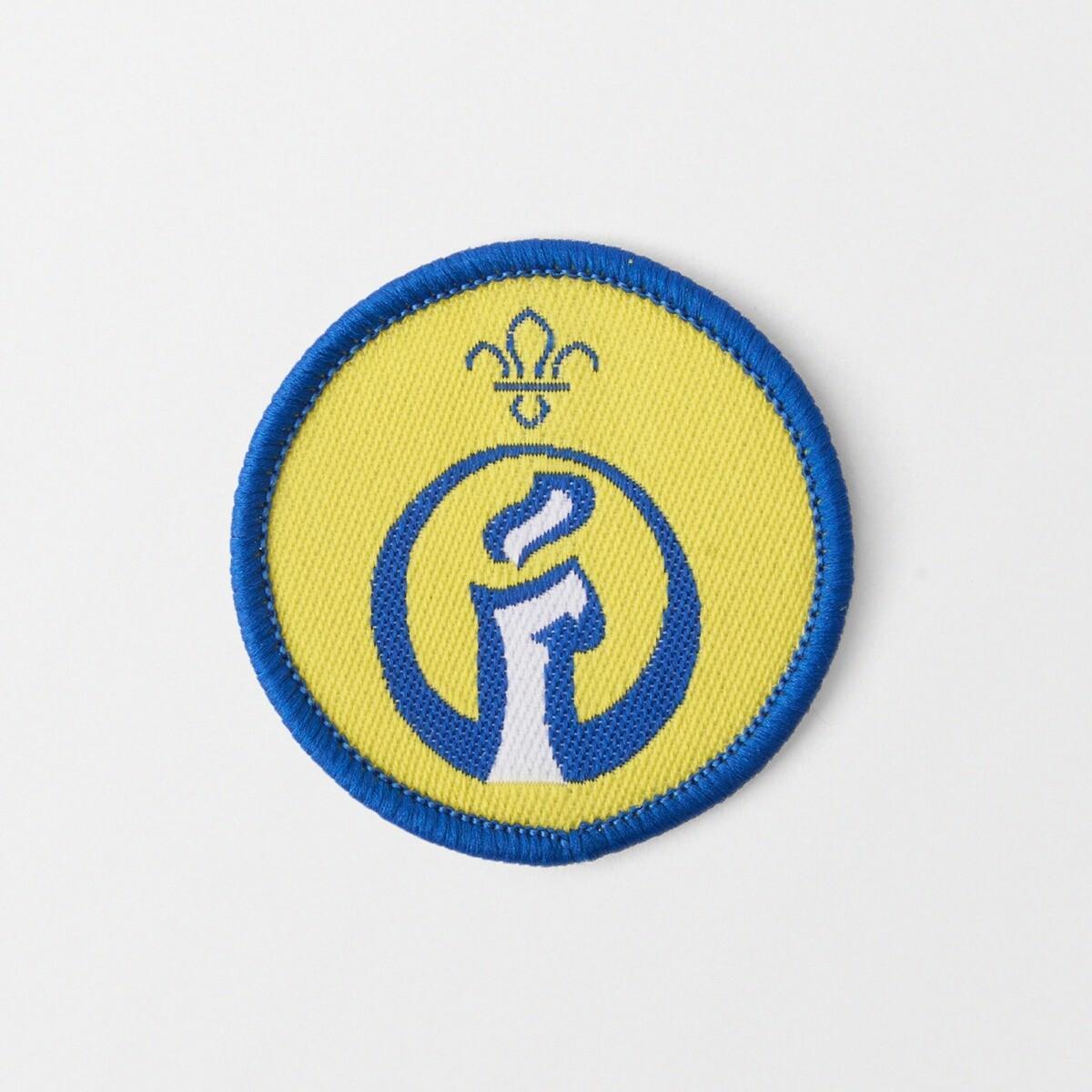 Beavers Scouting Badges UK Scouting Discontinued Beaver Scout Activity