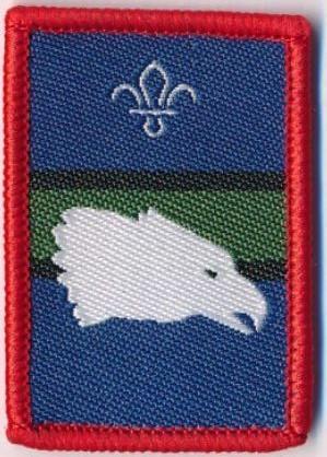 Scout Patrol Badge Eagle Volunteer Leaders
