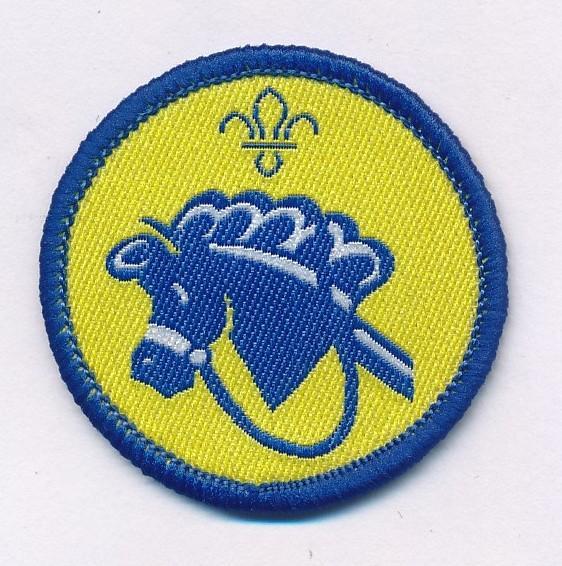 Beaver Scouts Hobbies Activity Badge Volunteer Leaders