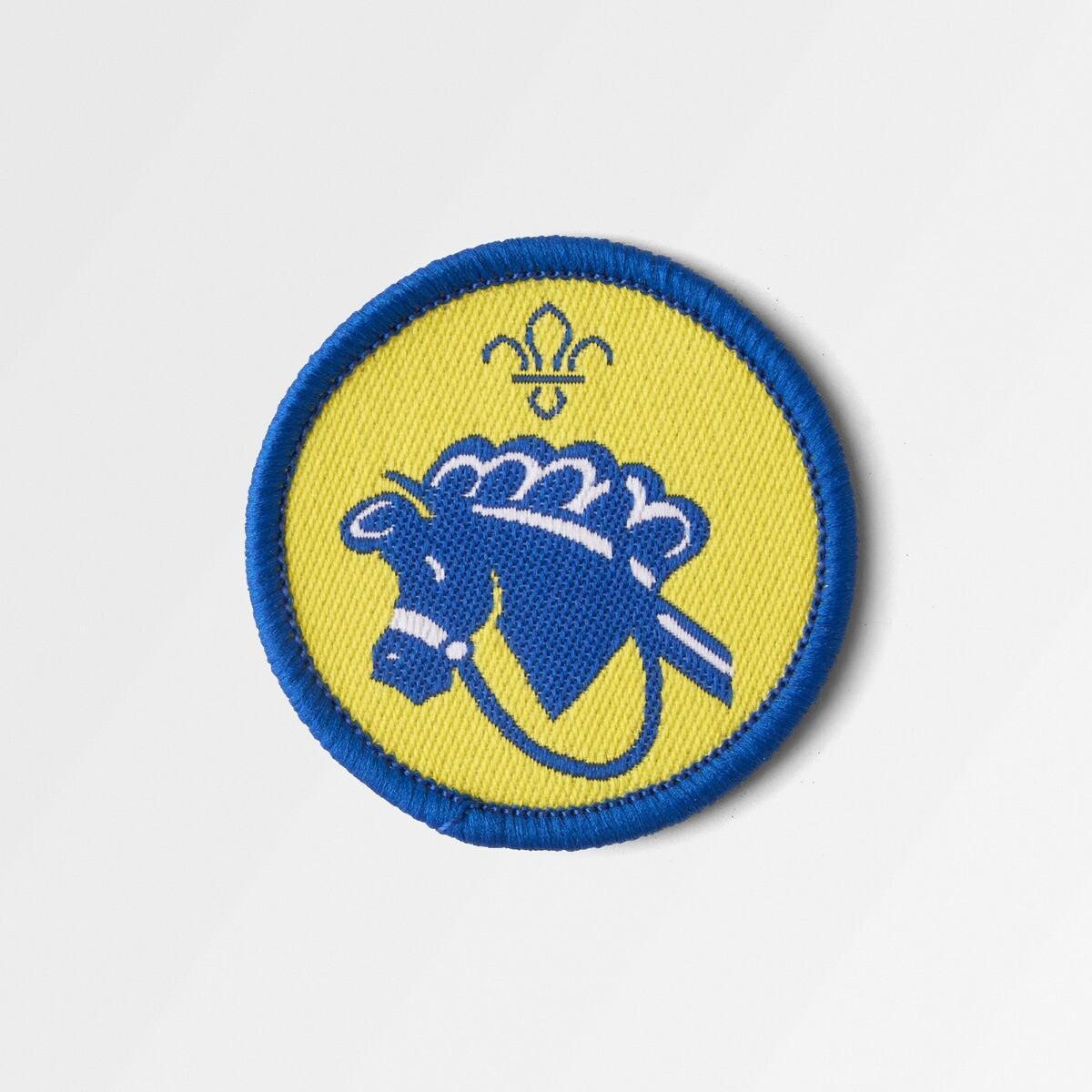 Beaver Scouts Hobbies Activity Badge