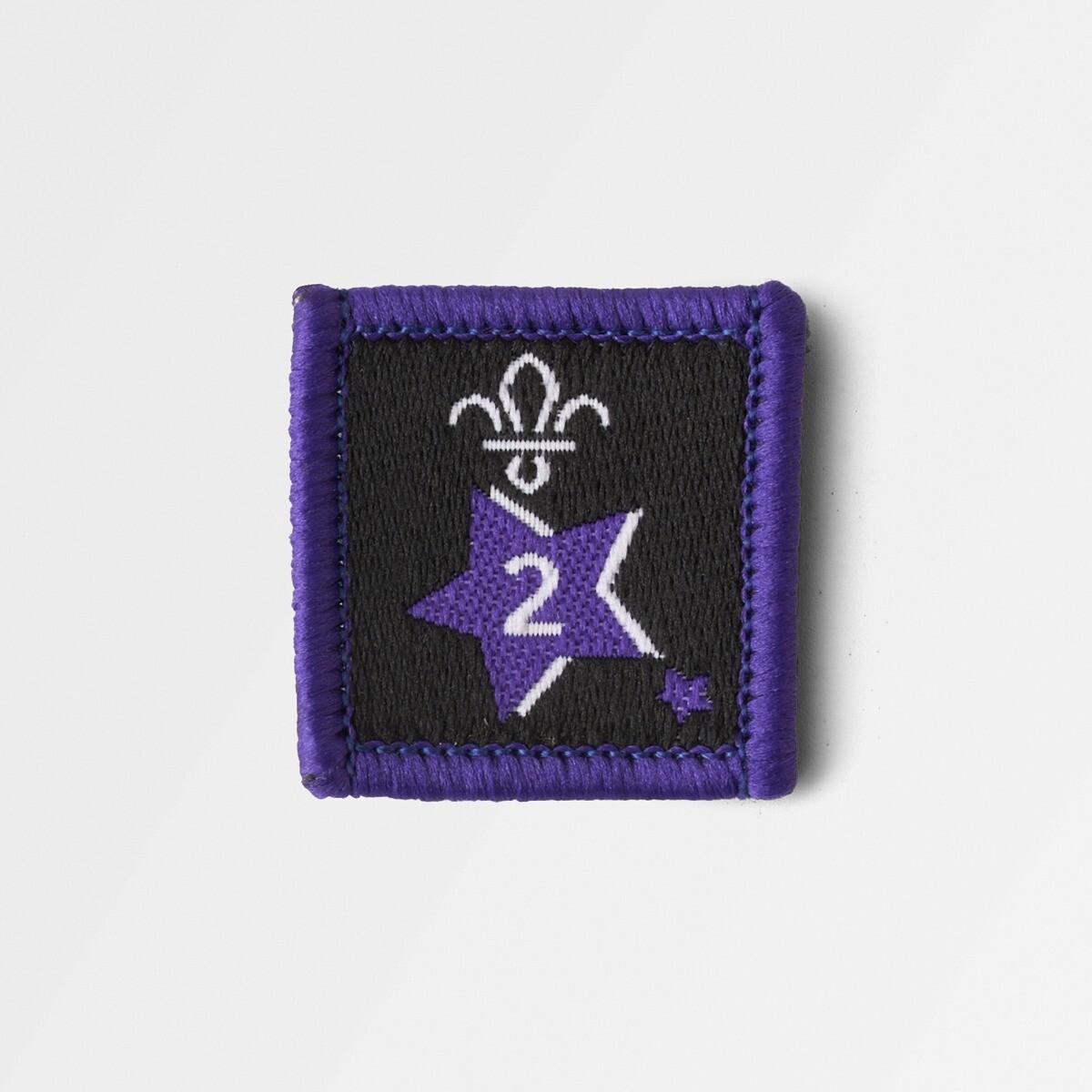 Joining in Award Badge 2 | Scouts