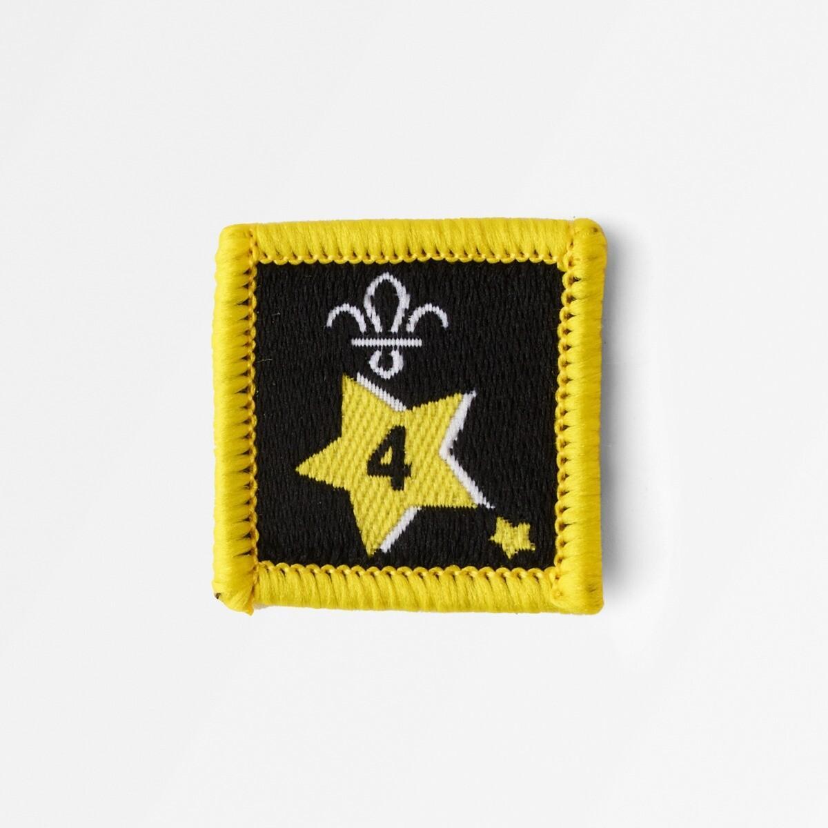 Joining in Award Badge 4 | Scouts