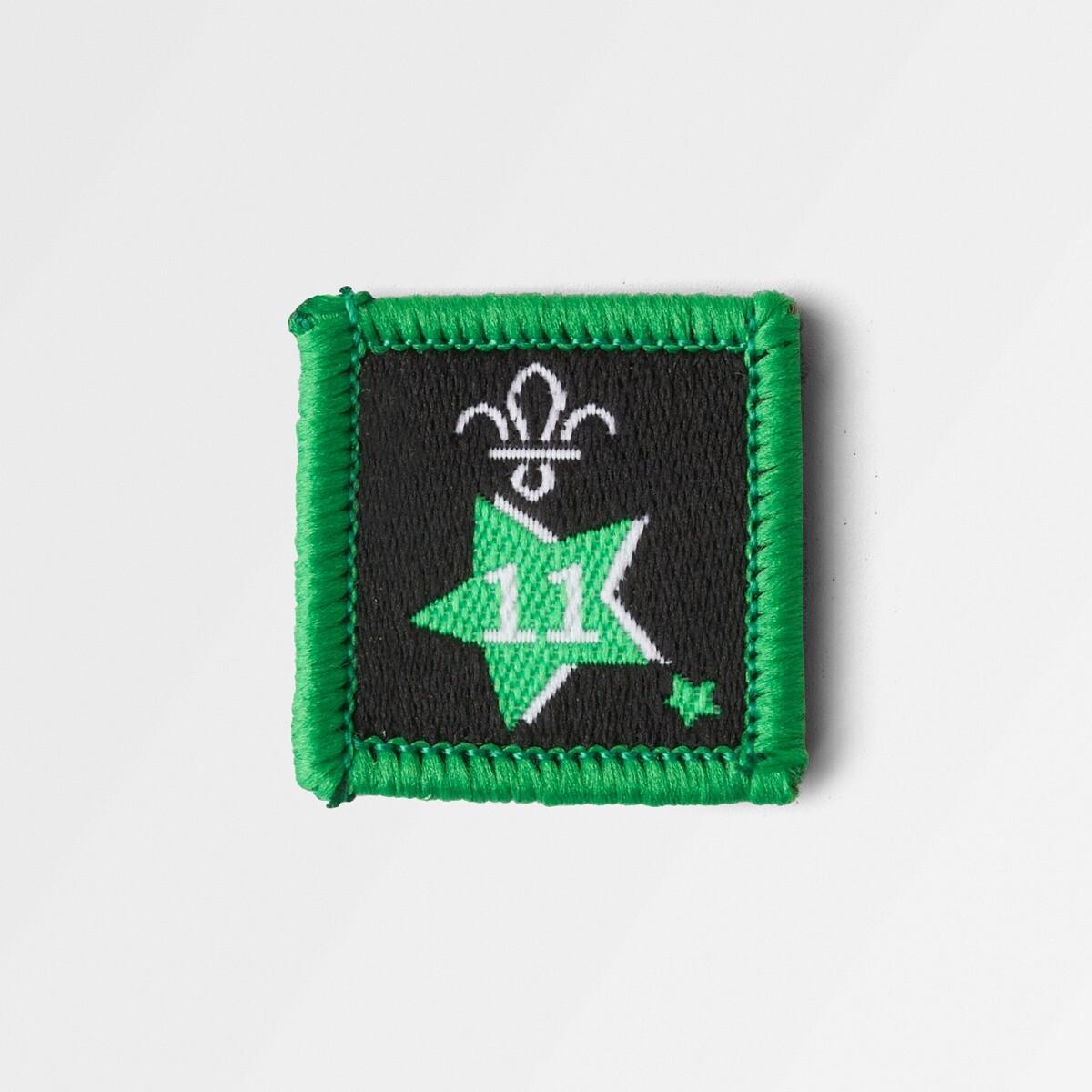 Joining in Award Badge 11 | Scouts
