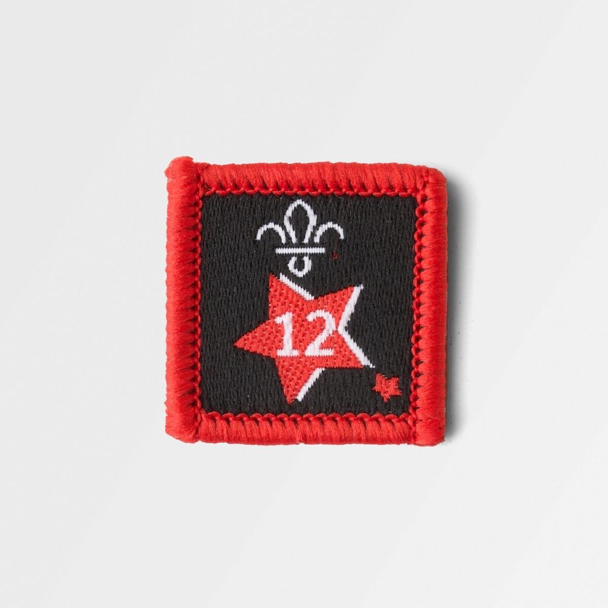 Joining in Award Badge 12 | Scouts