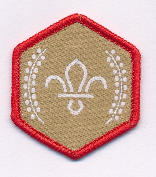 Scouts World Challenge Award Badge Volunteer Leaders