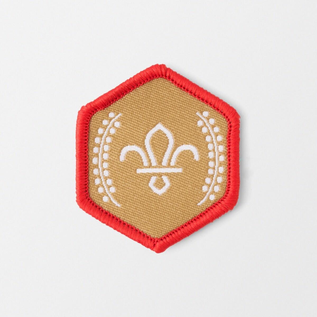 Chief Scouts's Gold Award Badge