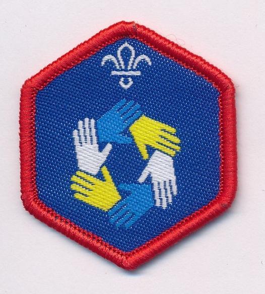 Scouts Teamwork Challenge Award Badge Volunteer Leaders