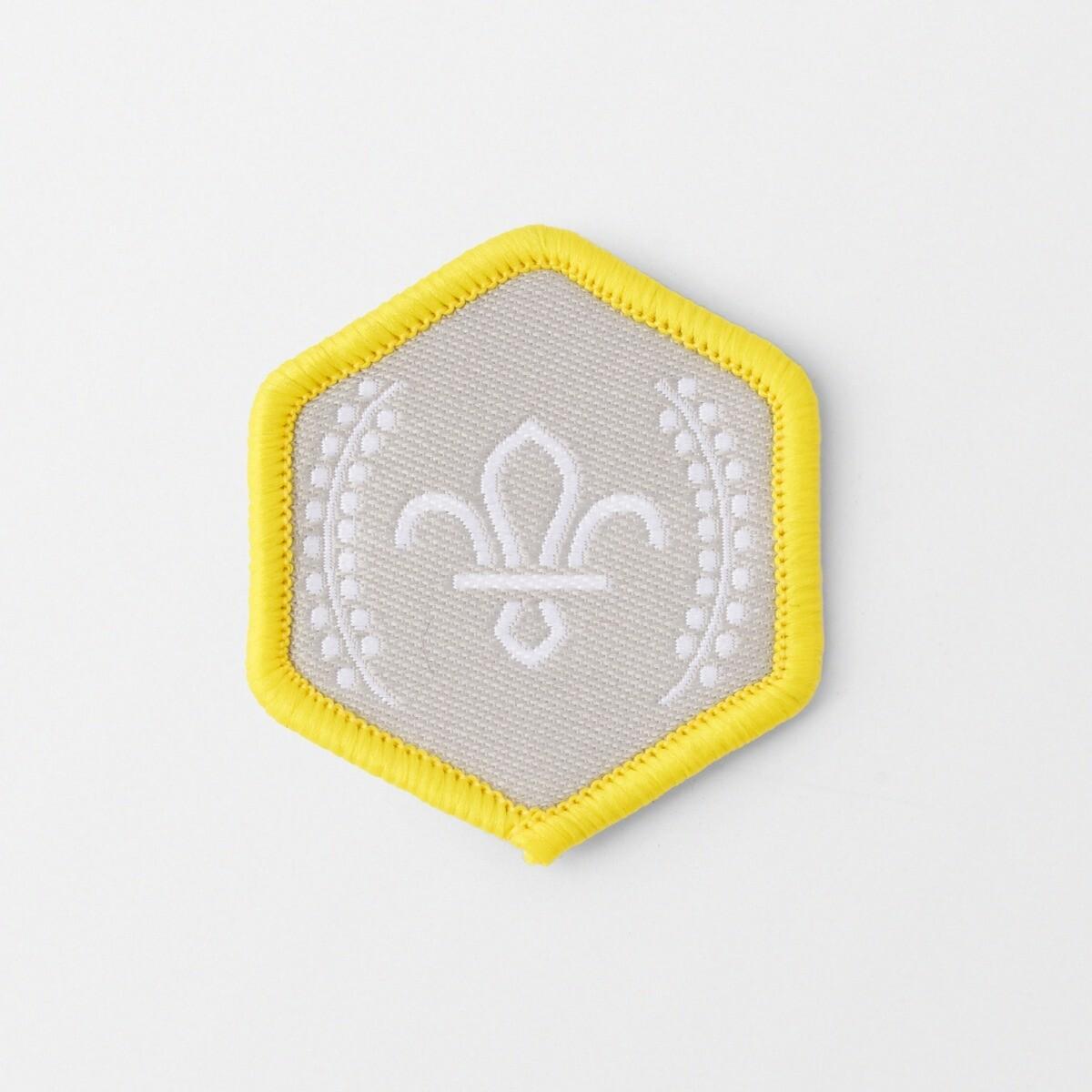 Cub Scouts Chief Scouts's Silver Award Badge