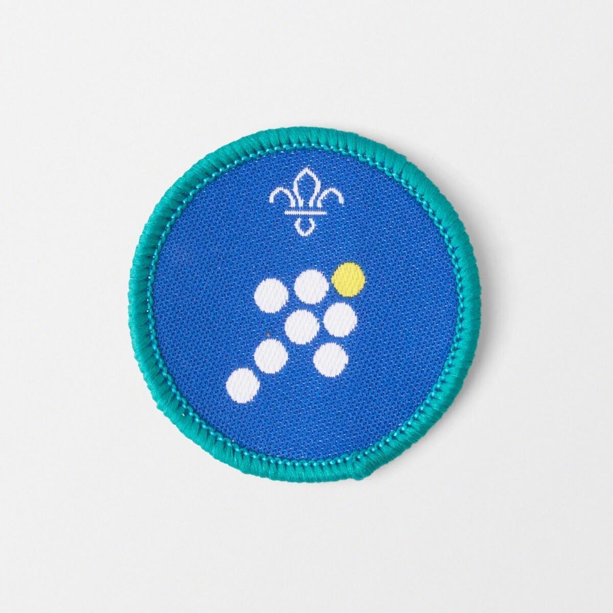 Explorer Scouts Leadership Activity Badge