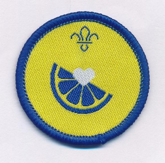 Beaver Scouts Scouts Health and Fitness Badge