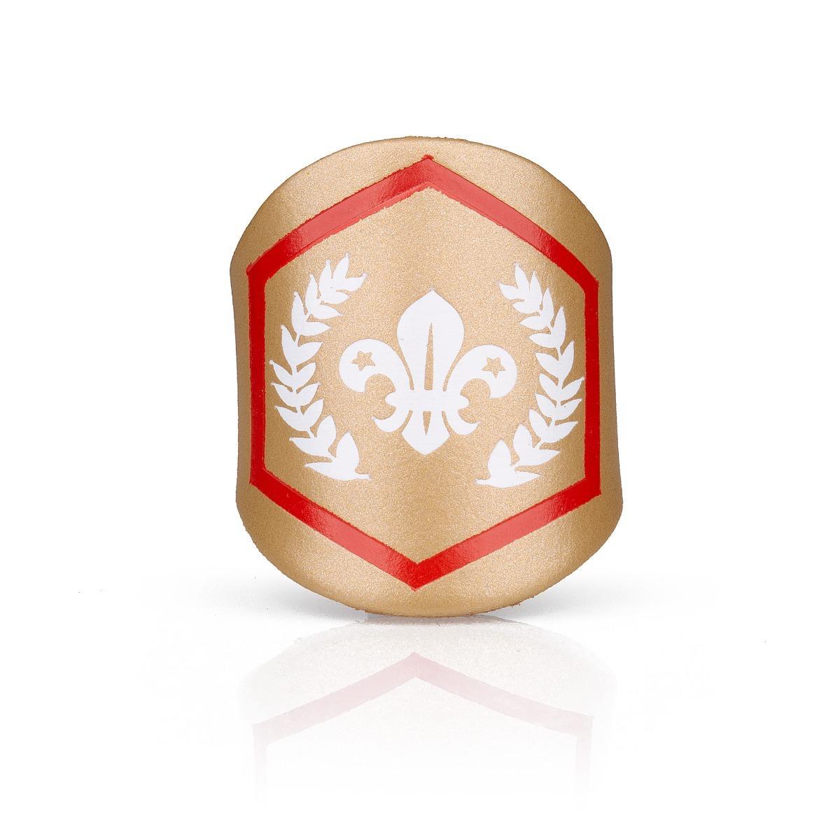 Chief Scout's Gold Award Woggle