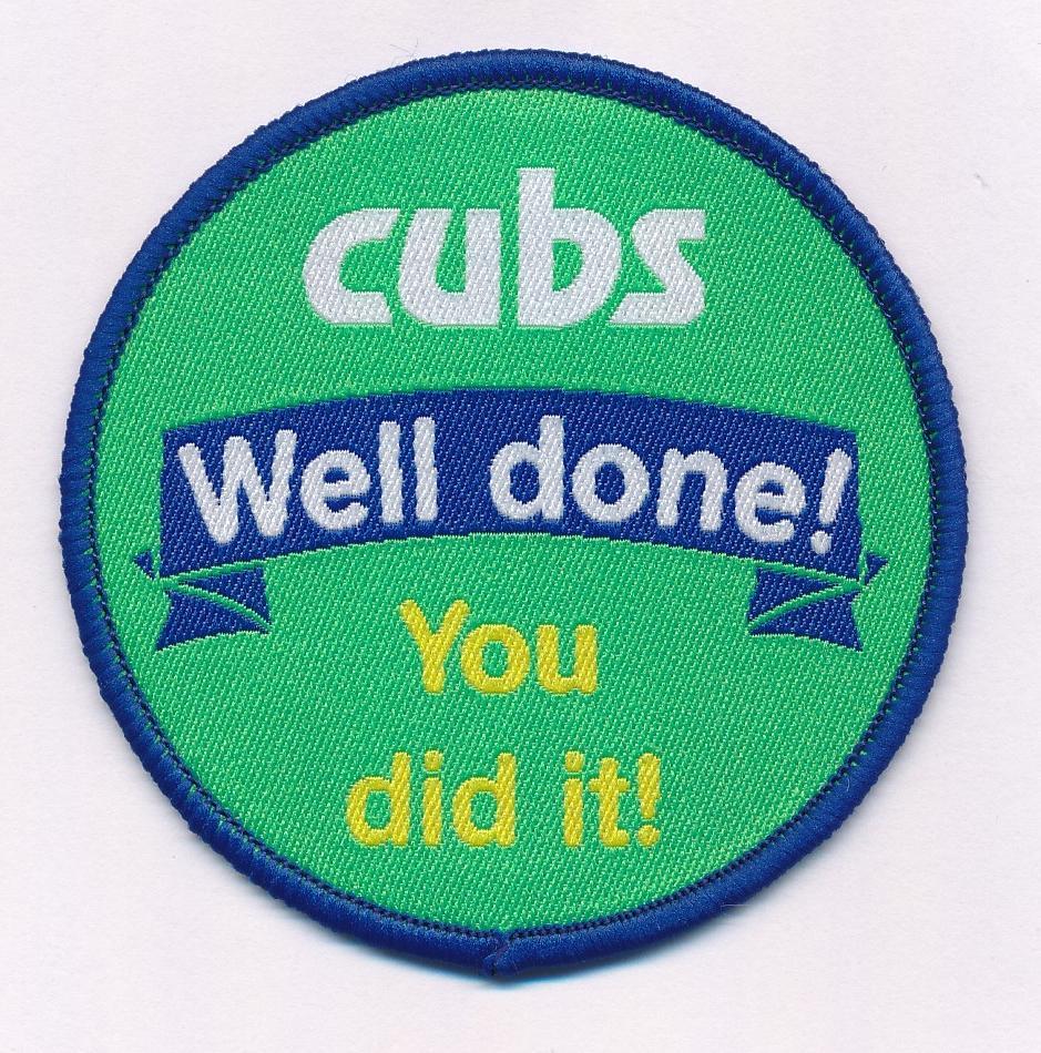 Cub Scouts Enamel Pin Badge 20mm Scouts Sections