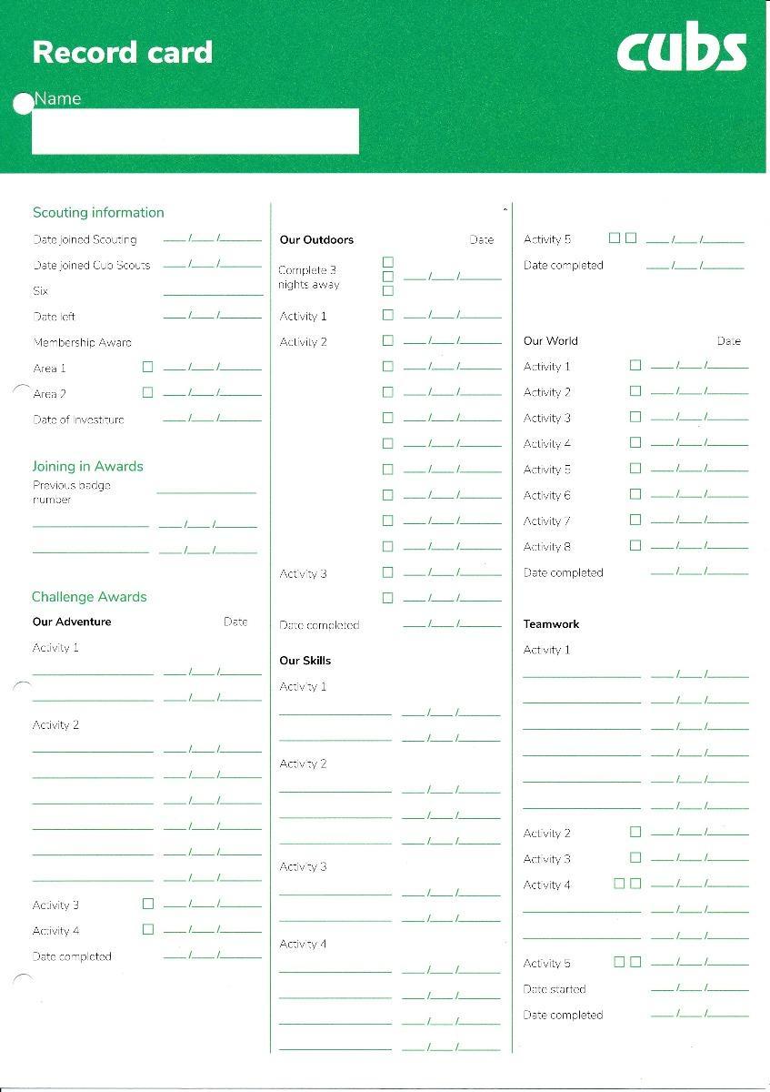 Cubs Record Cards (Pack of 10)