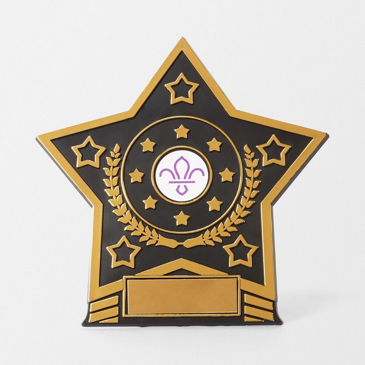 Star Scouts Logo Service Star 9 Years | Boy Scouts Of America
