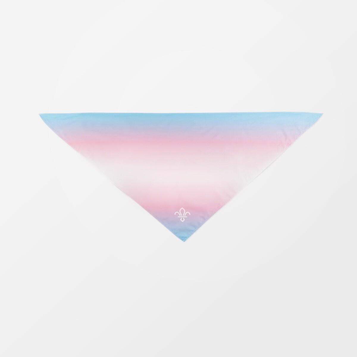 Scout Pride Scarf / Necker - Trans Flag | Scout Store