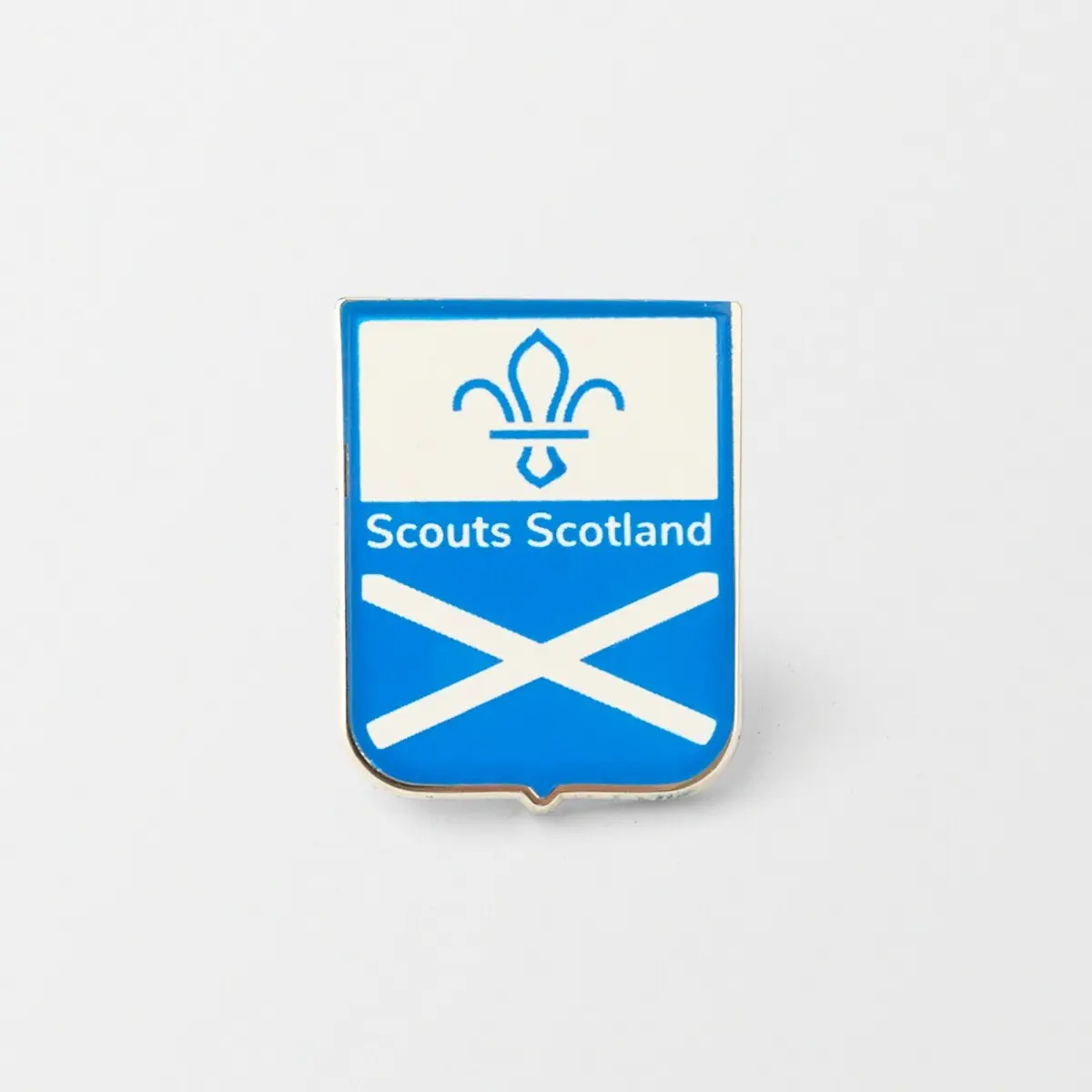 Scottish Scout Logo South East Scotland Scouts Lead Volunteer