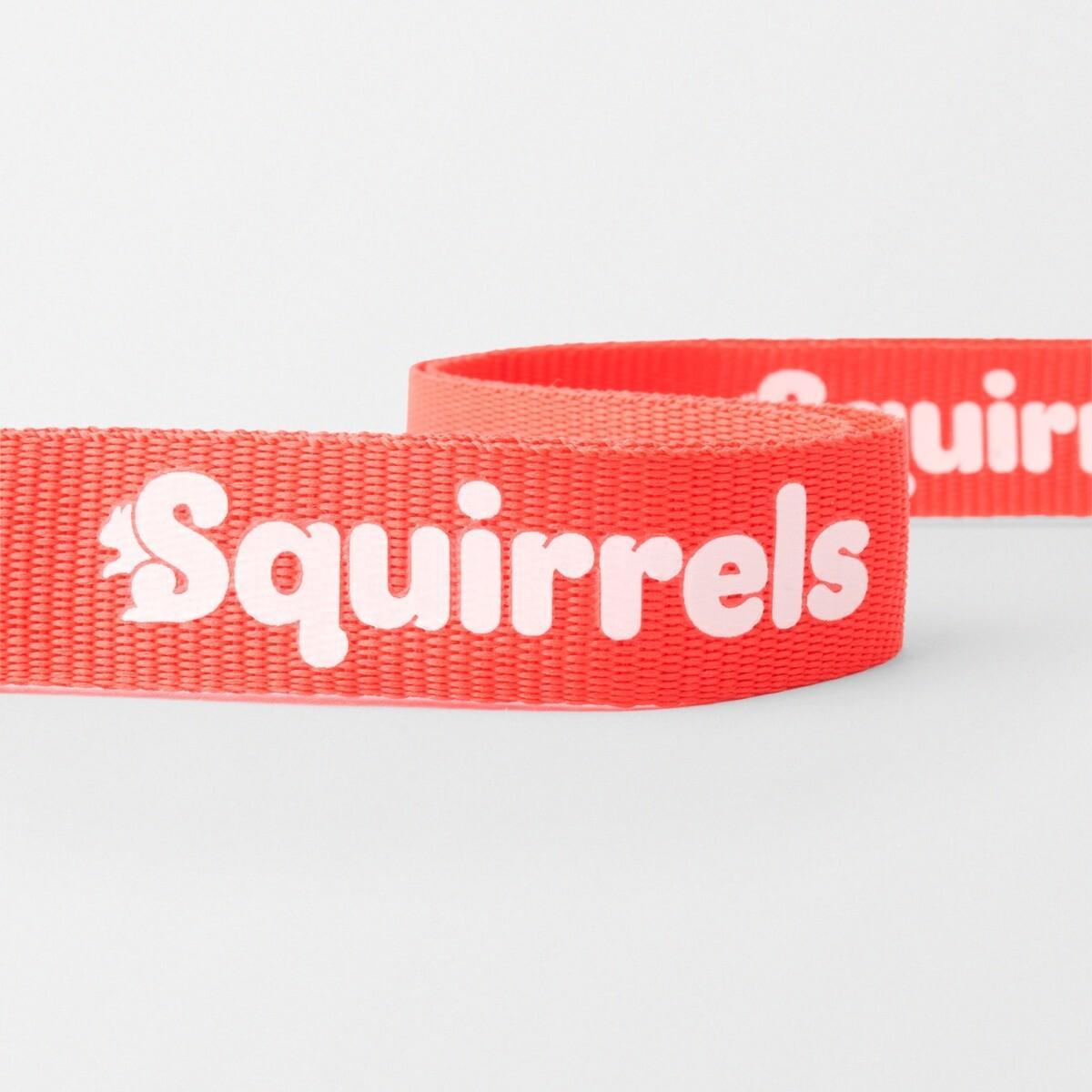 Squirrel Scouts Lanyard